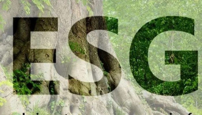 Green finance & ESG advisory startup enhancing business profitability ...